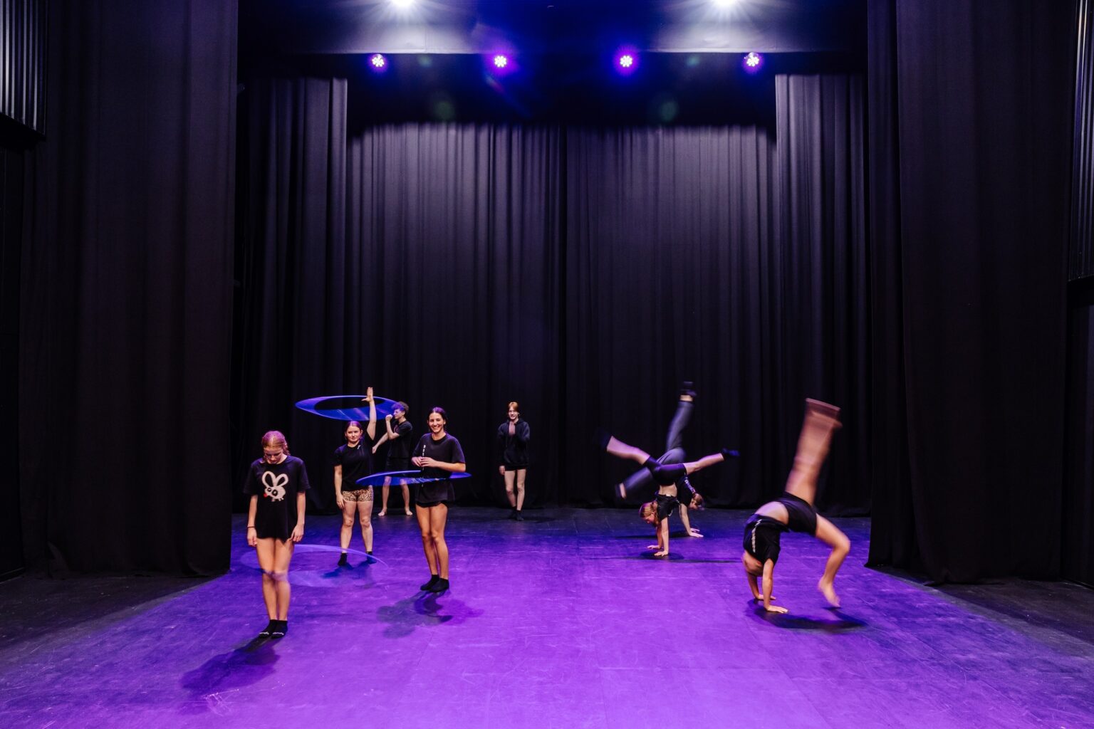 A landmark leap for circus arts: Flying Fruit Fly Circus to lead new ...